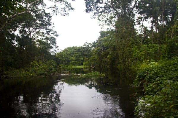 Regnskog Amazonas - Sund folkehøgskole